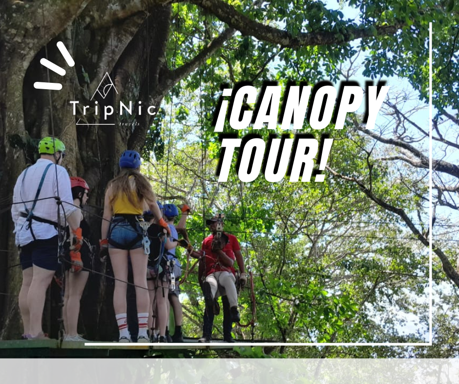 Canopy Tour - Mombacho - TripNic Travels